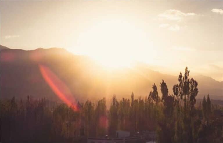 Best Online Meditation Courses for All Levels | Mindworks Journeys