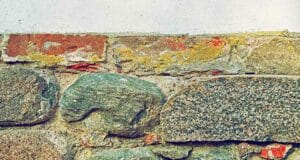 Tonglen Meditation — How to Practice (With Sample Script) | Mindworks