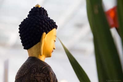 Buddhism’s Three Types of Suffering (What Are They?) | Mindworks