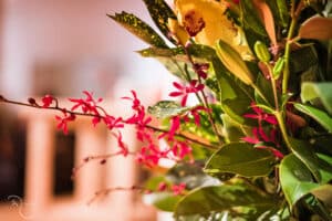 Buddhism’s Three Types of Suffering (What Are They?) | Mindworks